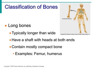 Anatomy of skeletal system | PPTX