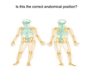 Anatomy of skeletal system | PPTX