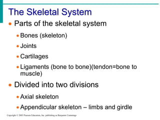 Anatomy of skeletal system | PPTX