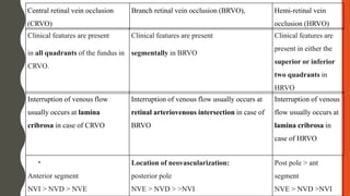 Branch Retinal Vein Occlusion Ffa