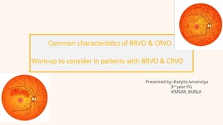 Common characteristics of BRVO & CRVO.pptx