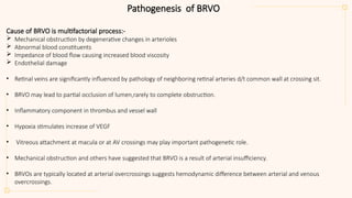 Common characteristics of BRVO & CRVO.pptx