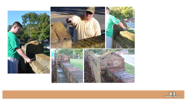 Bryan Pott's Eagle Project | PPTX | Civil Engineering Industry | Industries