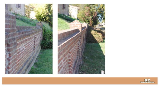 Bryan Pott's Eagle Project | PPTX | Civil Engineering Industry | Industries