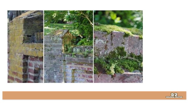 Bryan Pott's Eagle Project | PPTX | Civil Engineering Industry | Industries