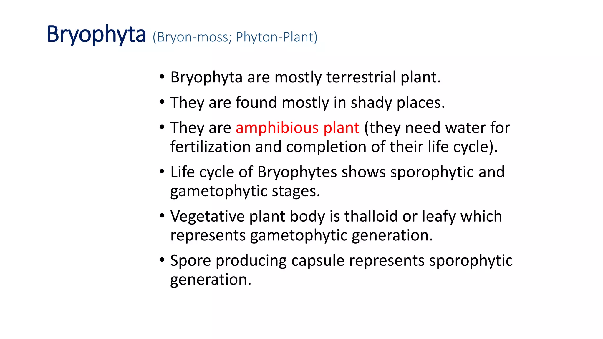 Bryophyta.pptx