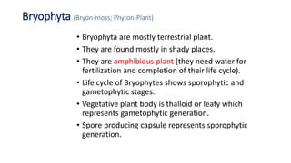 Bryophyta.pptx