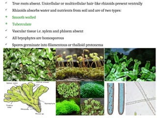 Bryophyta General Characteristics and Economic Importance - Copy.ppt