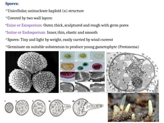 Bryophyta General Characteristics and Economic Importance - Copy.ppt