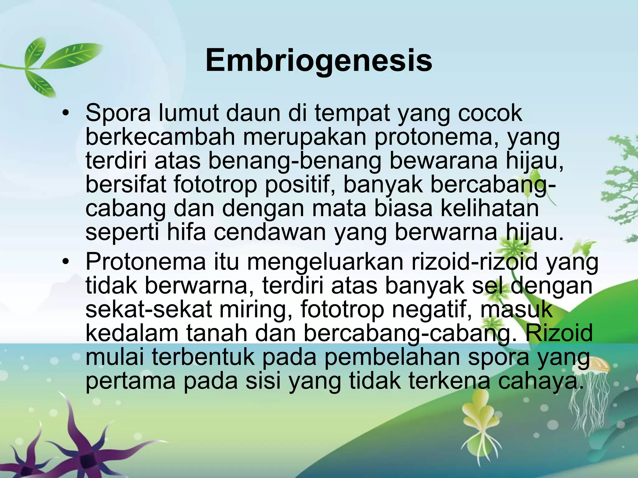 PPT Embriologi Tumbuhan - Bryophyta | PPTX