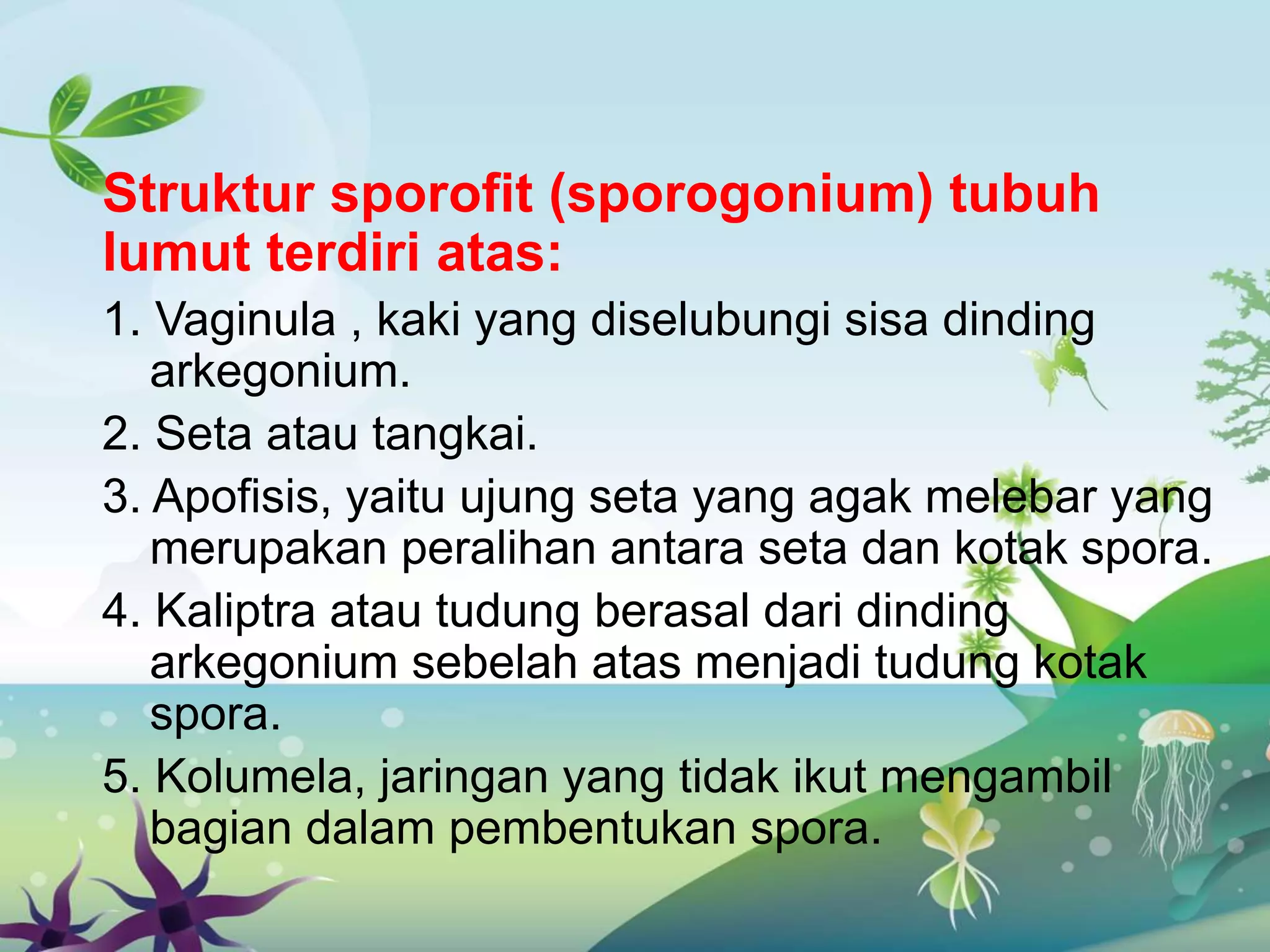 PPT Embriologi Tumbuhan - Bryophyta | PPTX
