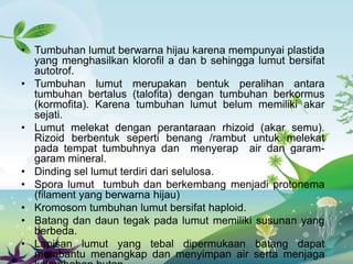 PPT Embriologi Tumbuhan - Bryophyta | PPTX