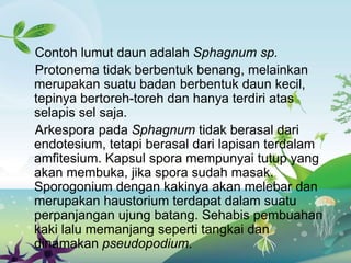 PPT Embriologi Tumbuhan - Bryophyta | PPTX