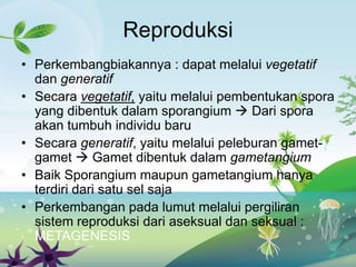 PPT Embriologi Tumbuhan - Bryophyta | PPTX