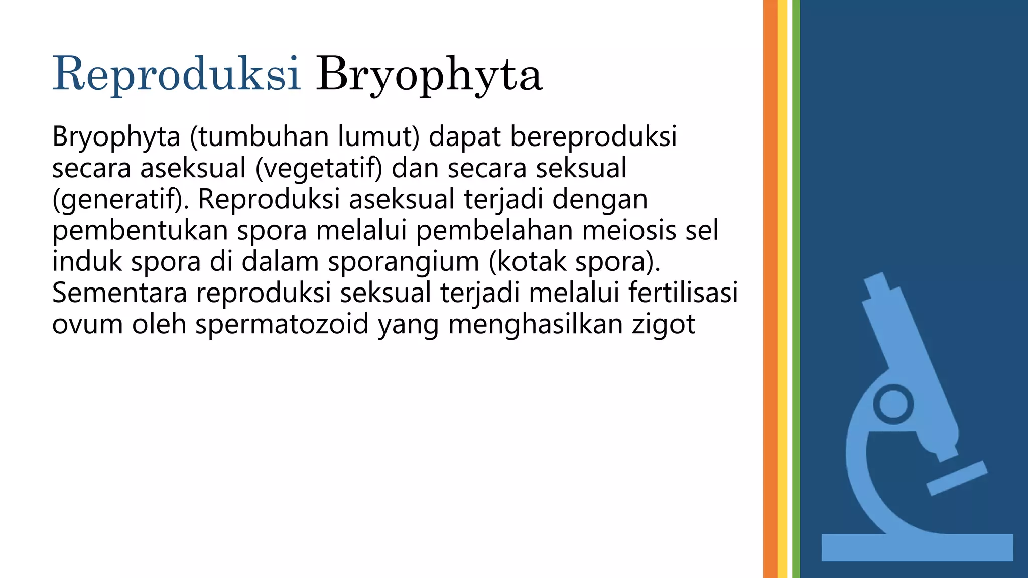 Bryophyta Presentasi Kel 1.pptx