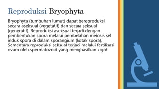 Bryophyta Presentasi Kel 1.pptx
