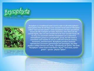 kingdom plantae | PPT