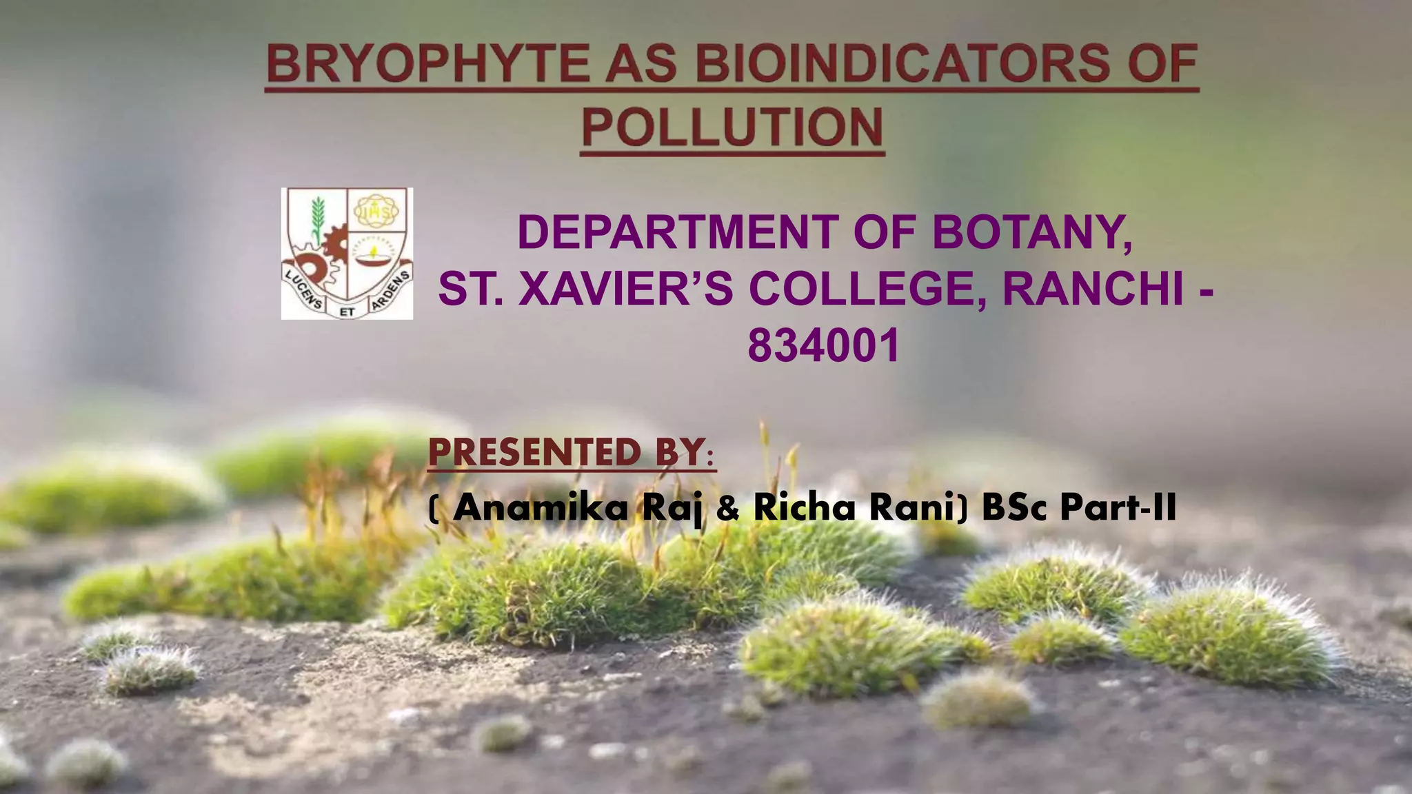 Bryophyte as bioindicators of pollution | PPTX