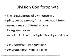 Bryophyte,Cryptogams,Gymno | PPT