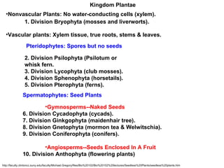 Bryophyte,Cryptogams,Gymno | PPT