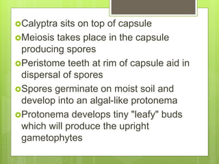 BRYOPHYTE PRESENTATIONFinal... ...pptx