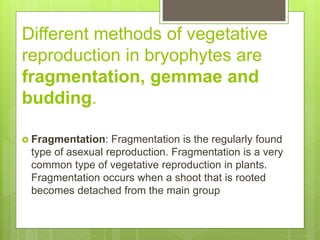 BRYOPHYTE PRESENTATIONFinal... ...pptx