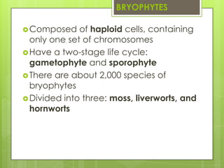 Bryophytes | PPTX