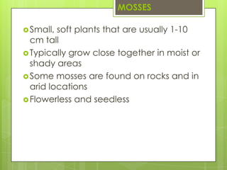 Bryophytes | PPTX