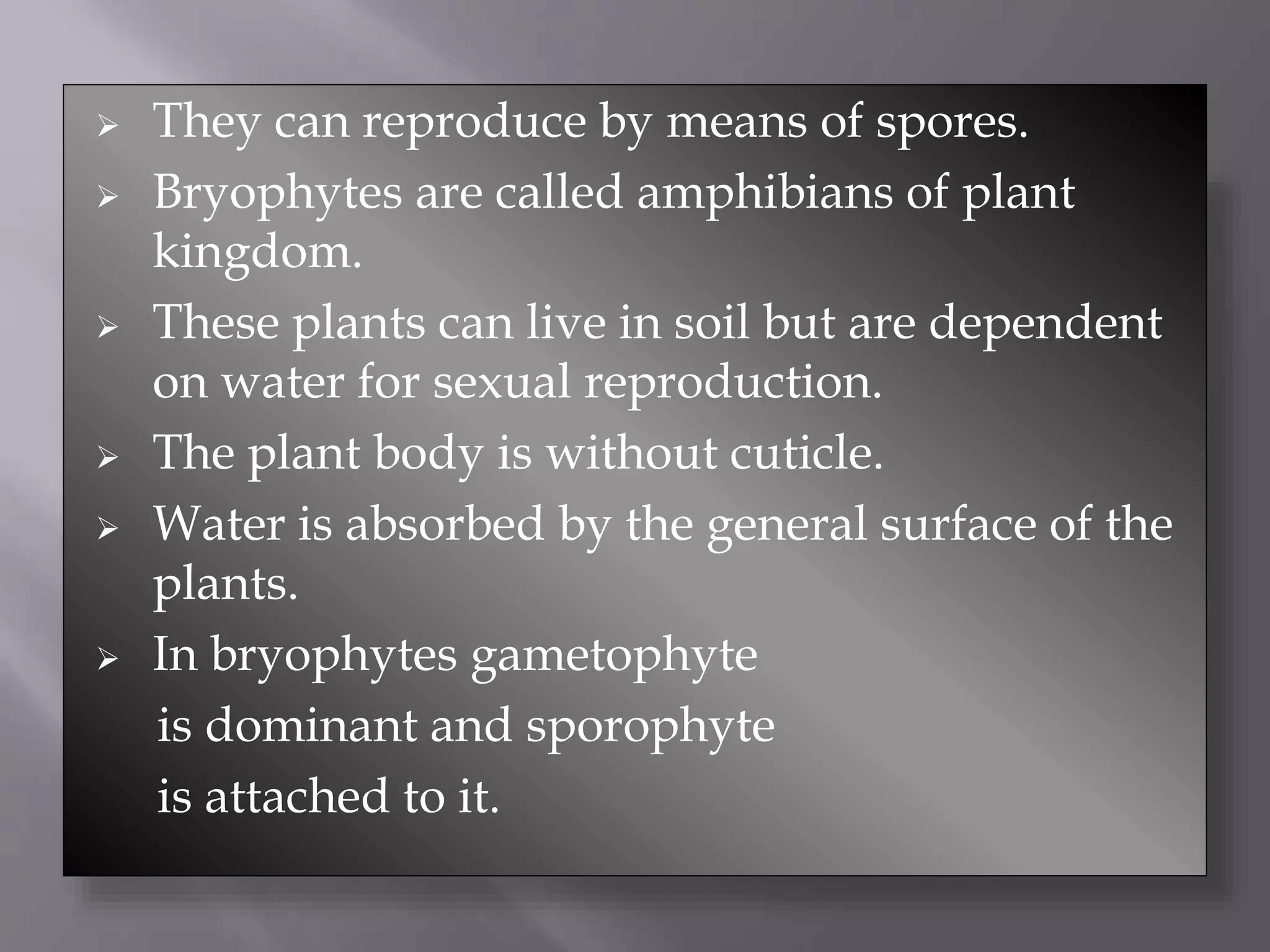 Bryophytes | PPTX