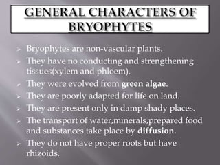 Bryophytes | PPTX