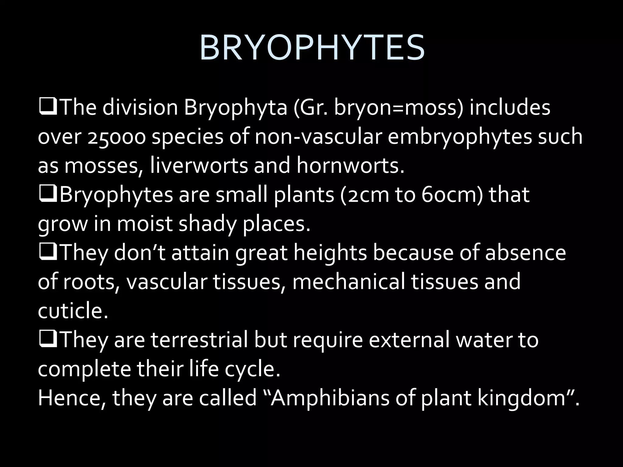 Bryophytes | PPTX