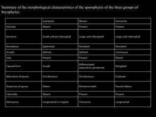 Bryophytes | PPTX