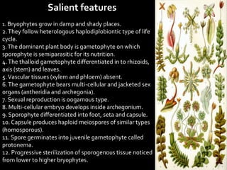 Bryophytes | PPTX