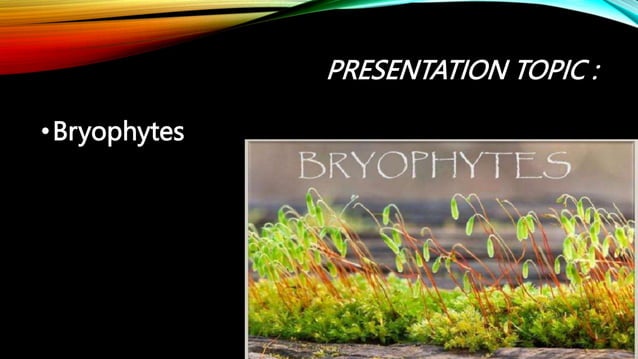 bryophytes | PPT