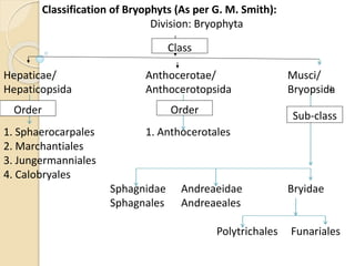 Bryophytes.pptx