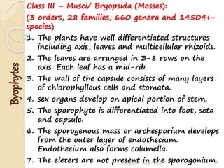 Bryophytes.pptx