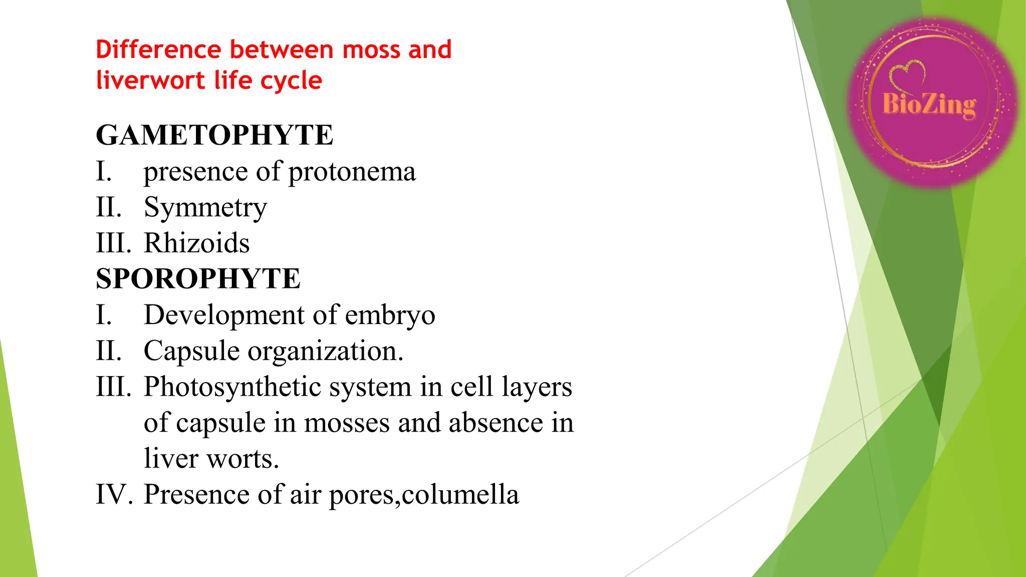 bryophytes.pptx bsc botany honours second semester | PPTX