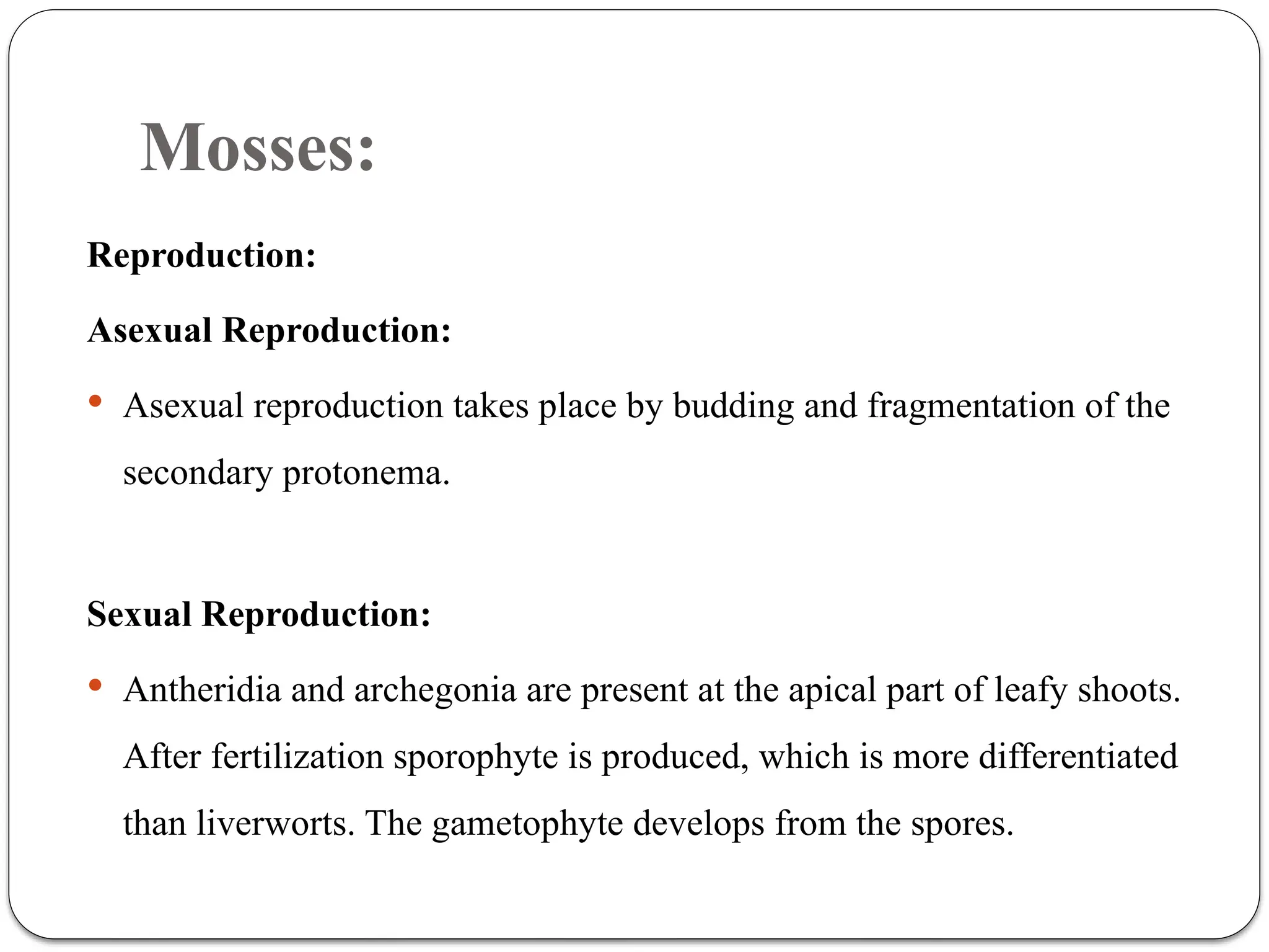 Salient Features and Importance of Bryophytes.pptx