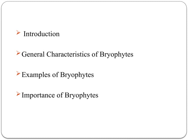 Salient Features and Importance of Bryophytes.pptx