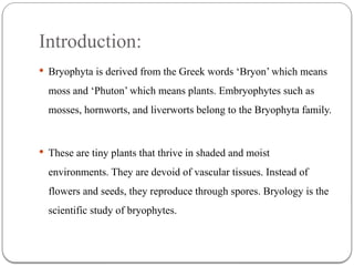 Salient Features and Importance of Bryophytes.pptx