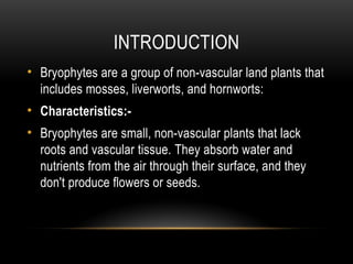 BRYOPHYTES.pptx it is a science projct work for class 11th | PPTX