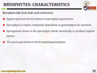 Bryophytes characteristics | PPTX
