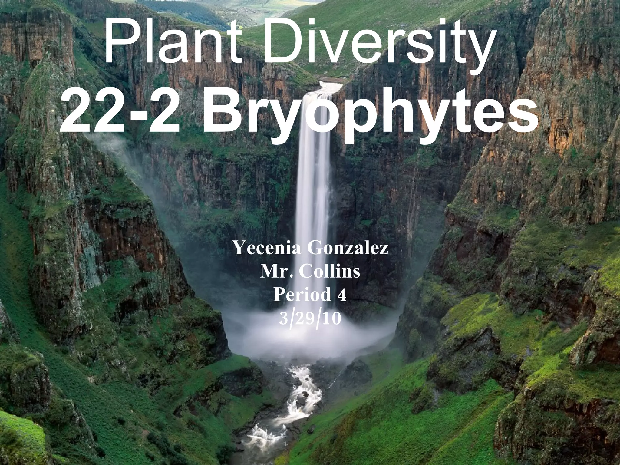 Bryophytes 22 2 | PPT