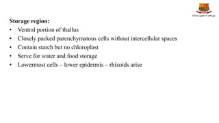 Bryophytes: alternation of generation, morphology, anatomy and ...