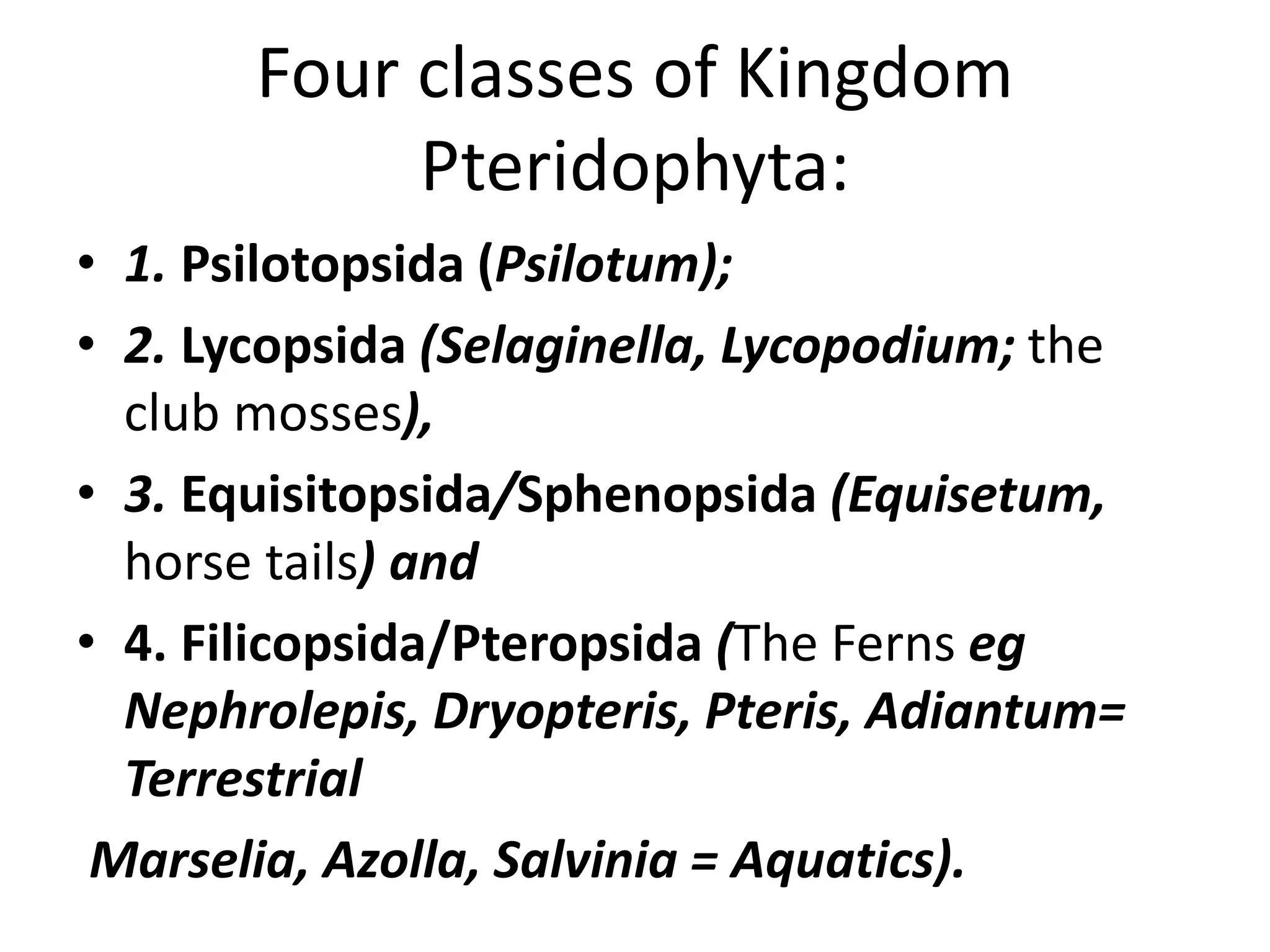 bryophytes and pteridophytes.ppt cryptogams | PPT
