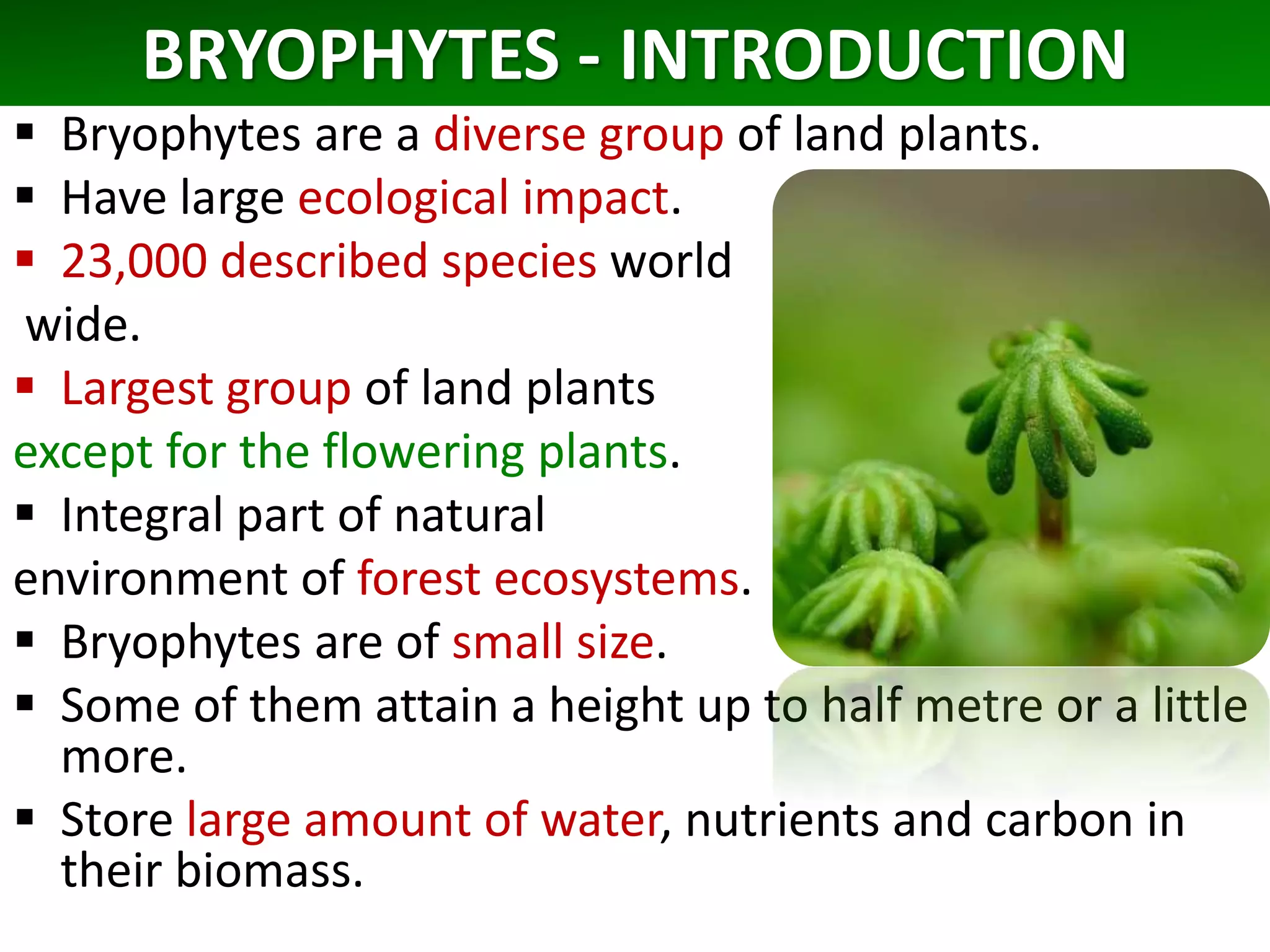 Bryophytes as ecological indicators | PPTX