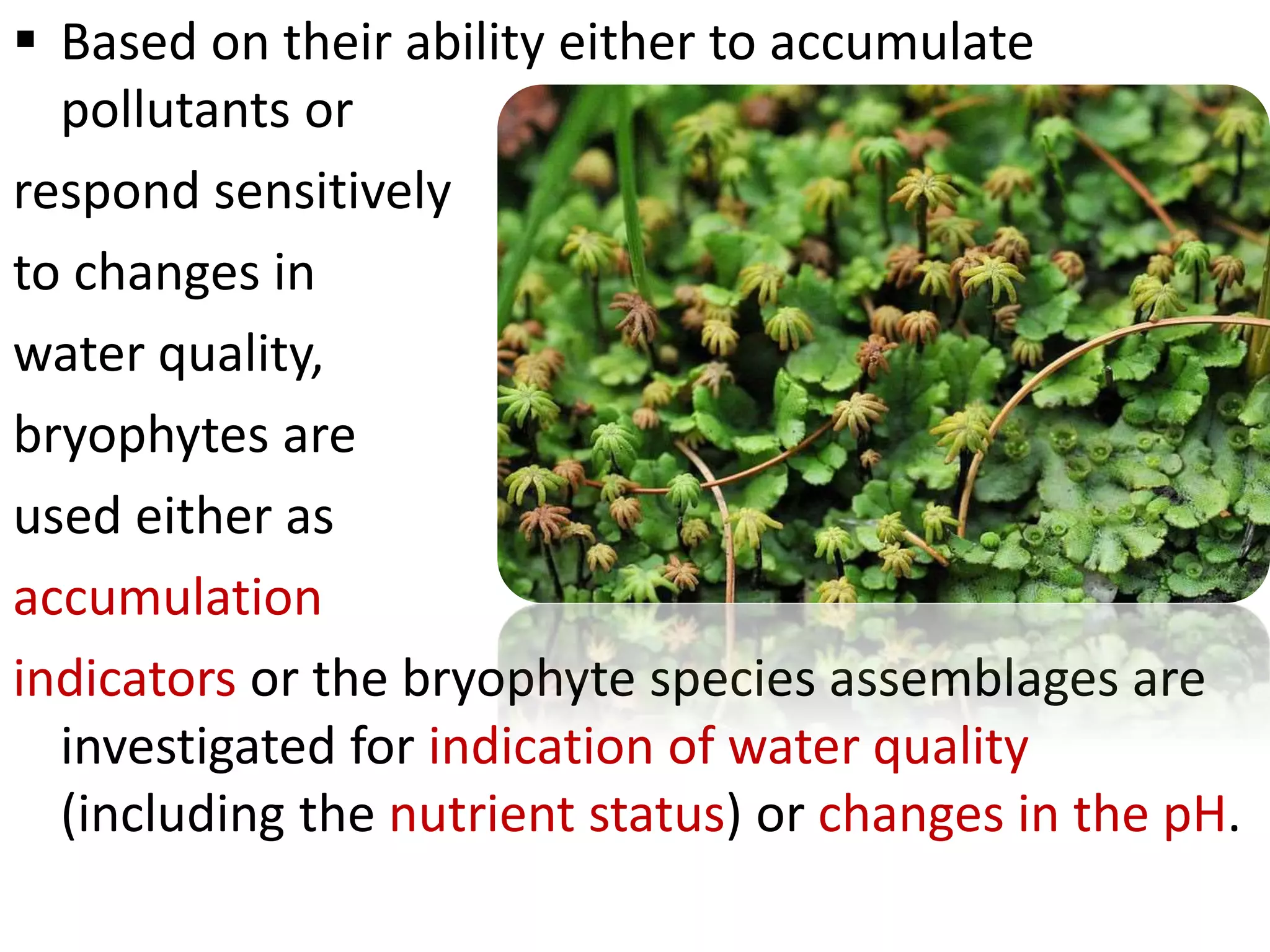Bryophytes as ecological indicators | PPTX