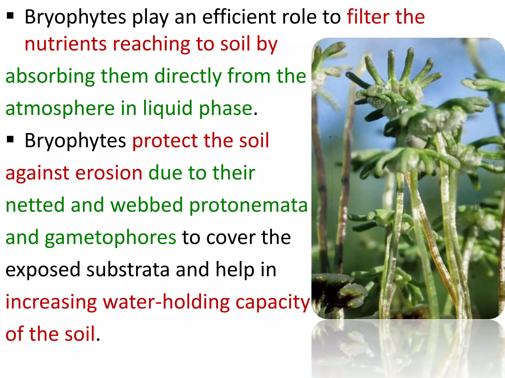 Bryophytes as ecological indicators | PPTX