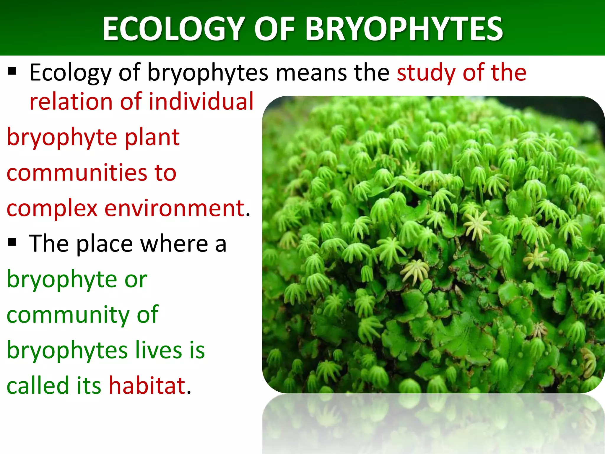 Bryophytes as ecological indicators | PPTX