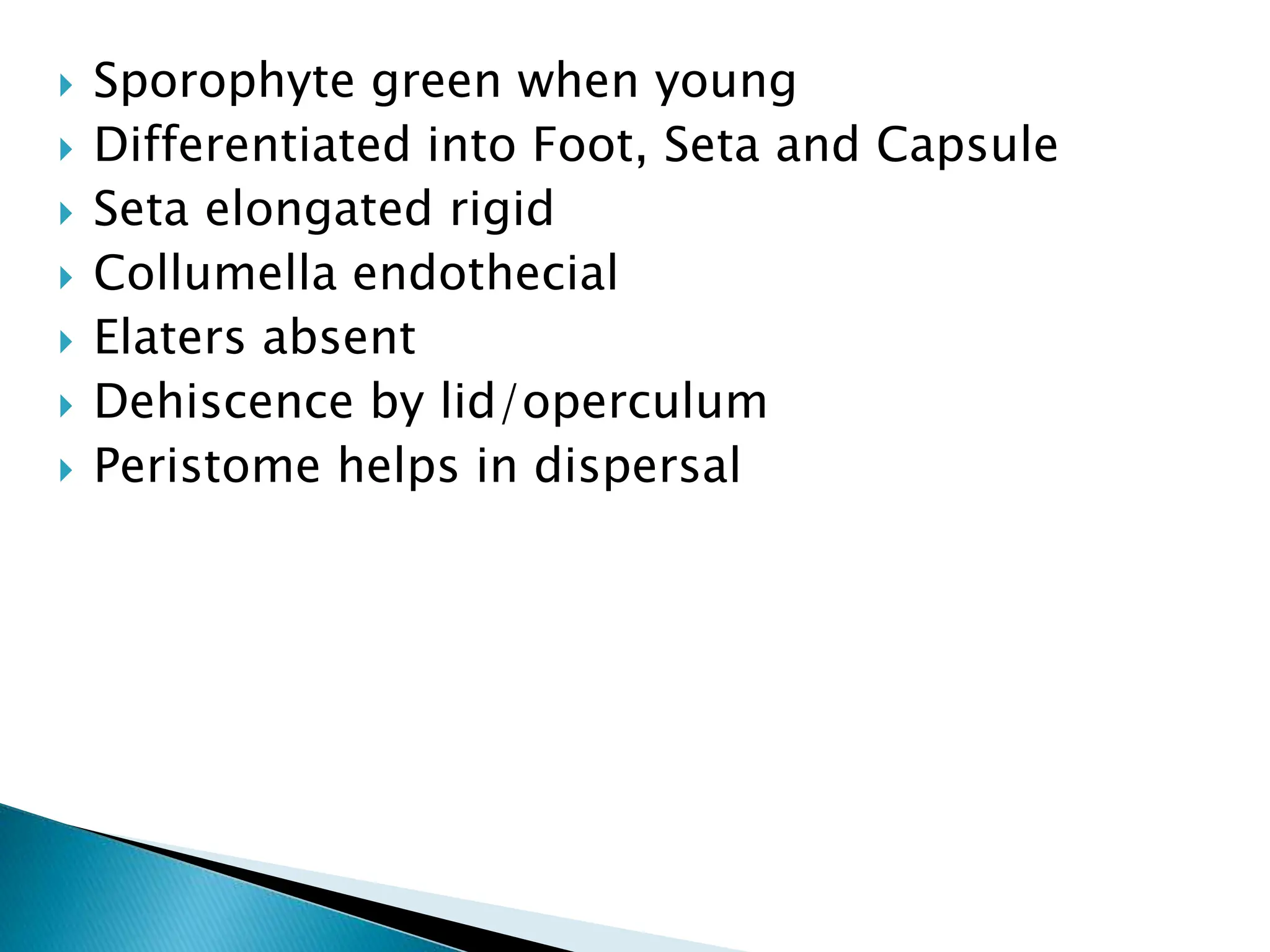 BRYOPHYTES CLASSIFICATION BY GM Smith.pptx